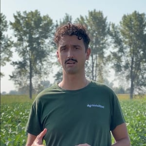 Hållbar Odling Med Aminosyror - Arevo